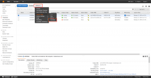 How to Launch a Linux Virtual Machine with Amazon EC2 - DataMounts