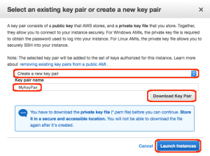 How to Launch a Linux Virtual Machine with Amazon EC2 - DataMounts