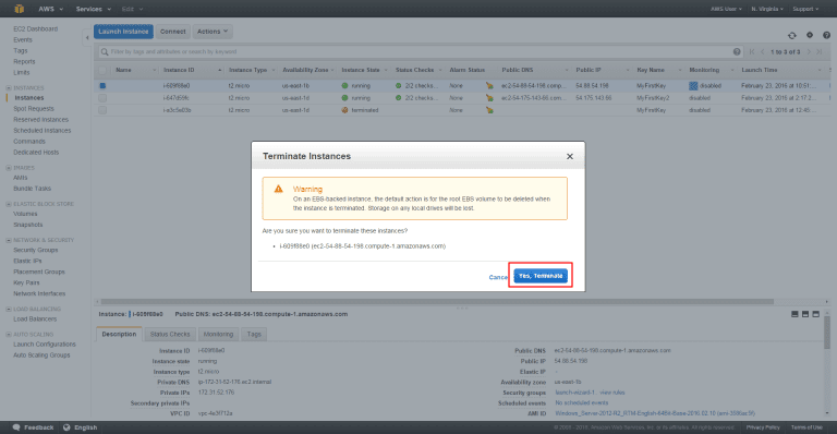 How to Launch a Linux Virtual Machine with Amazon EC2 - DataMounts