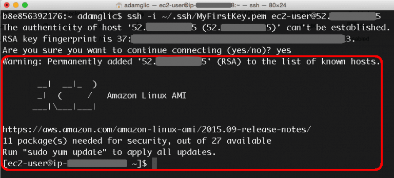 How to Launch a Linux Virtual Machine with Amazon EC2 - DataMounts